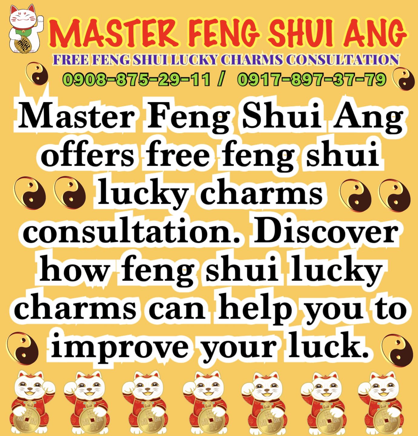 MASTER FENG SHUI ANG FREE CONSULTATION AND FREE PALM READING